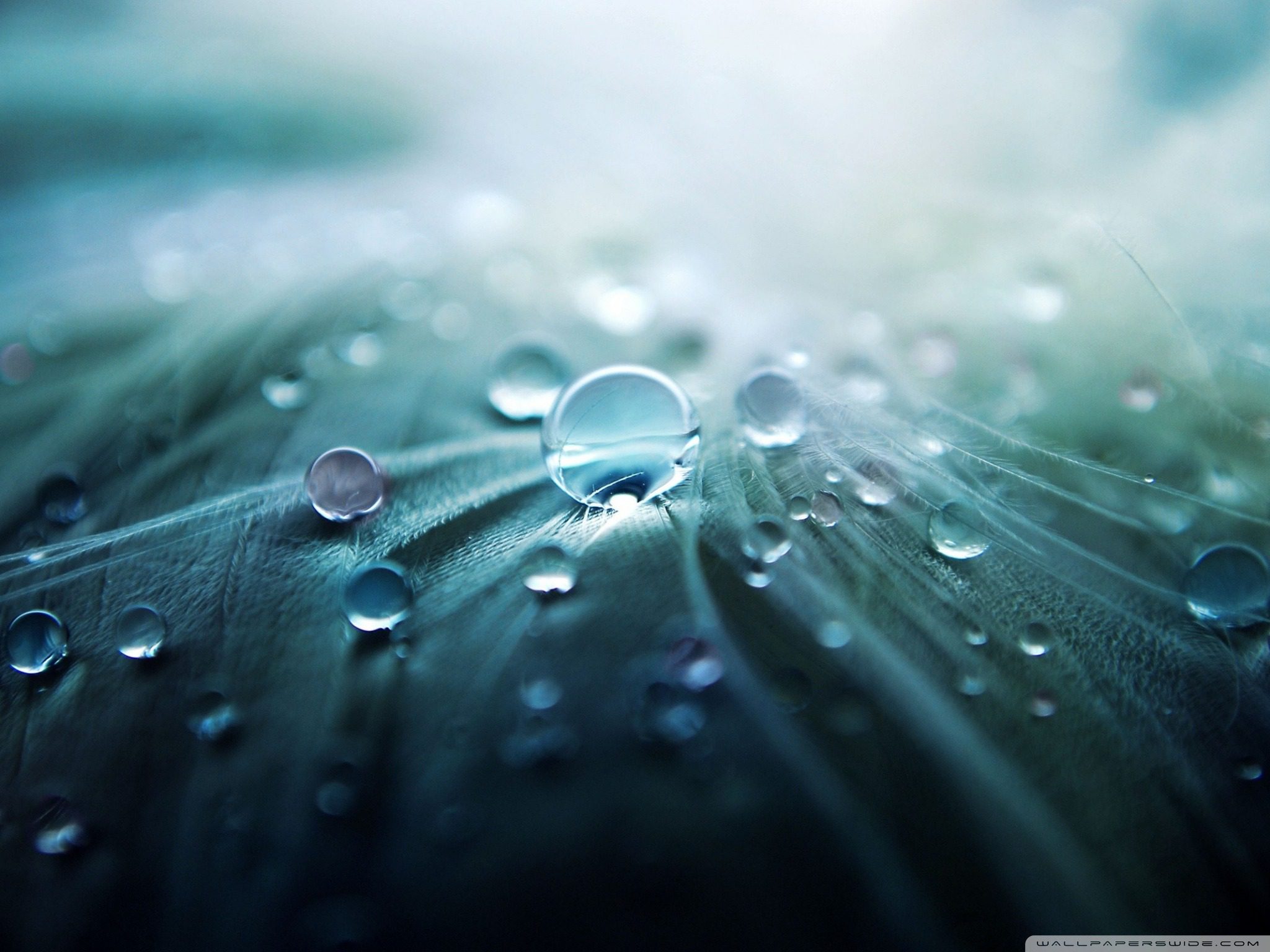 ¿Qué es la nanotecnología? - Lotus UltraSeal